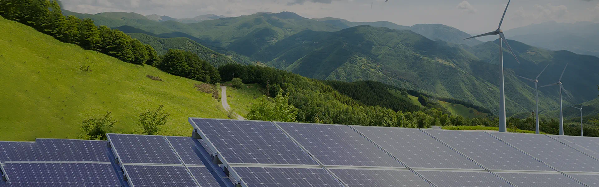 Utility Scale Renewables | Quorum Software | Land & Logistics Management